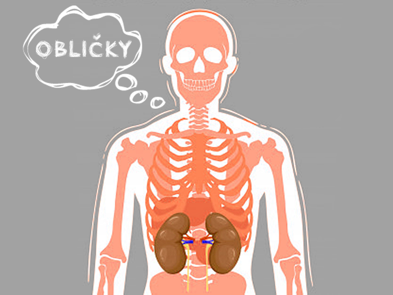 Ako sa starať o obličky - Zdravie bez liekov